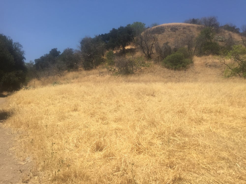 San Dimas Canyon Park - 49 Photos - Parks - San Dimas, CA - Reviews - Yelp