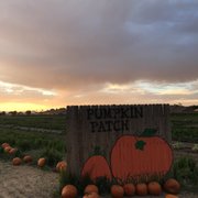 Tolmachoff Farms - 108 Photos & 64 Reviews - Pumpkin Patches - 5725 N ...