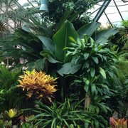 Ott’s Exotic Plants - 106 Photos & 39 Reviews - Nurseries & Gardening ...
