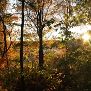 Cold Spring Harbor State Park - 71 Photos & 36 Reviews - Hiking - 83 ...