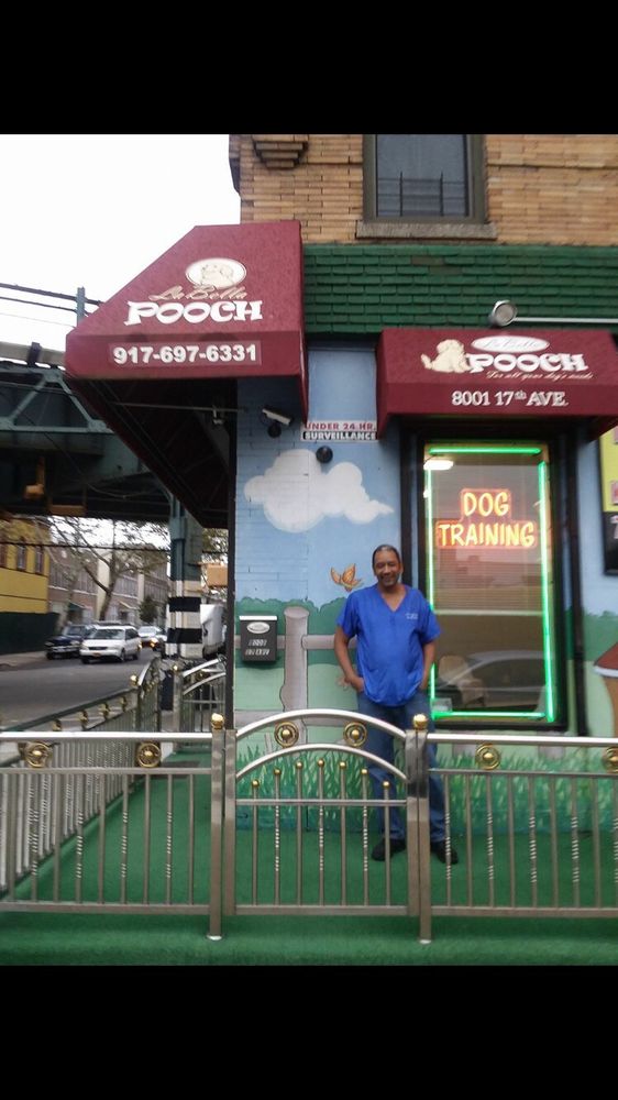 La Bella Pooch Dog Training and Grooming - Pet Groomers - 8001 17th Ave ...