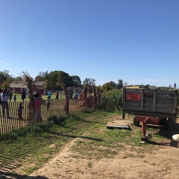 Harbes Family Farm & Vineyard - 467 Photos & 214 Reviews - Farmers ...