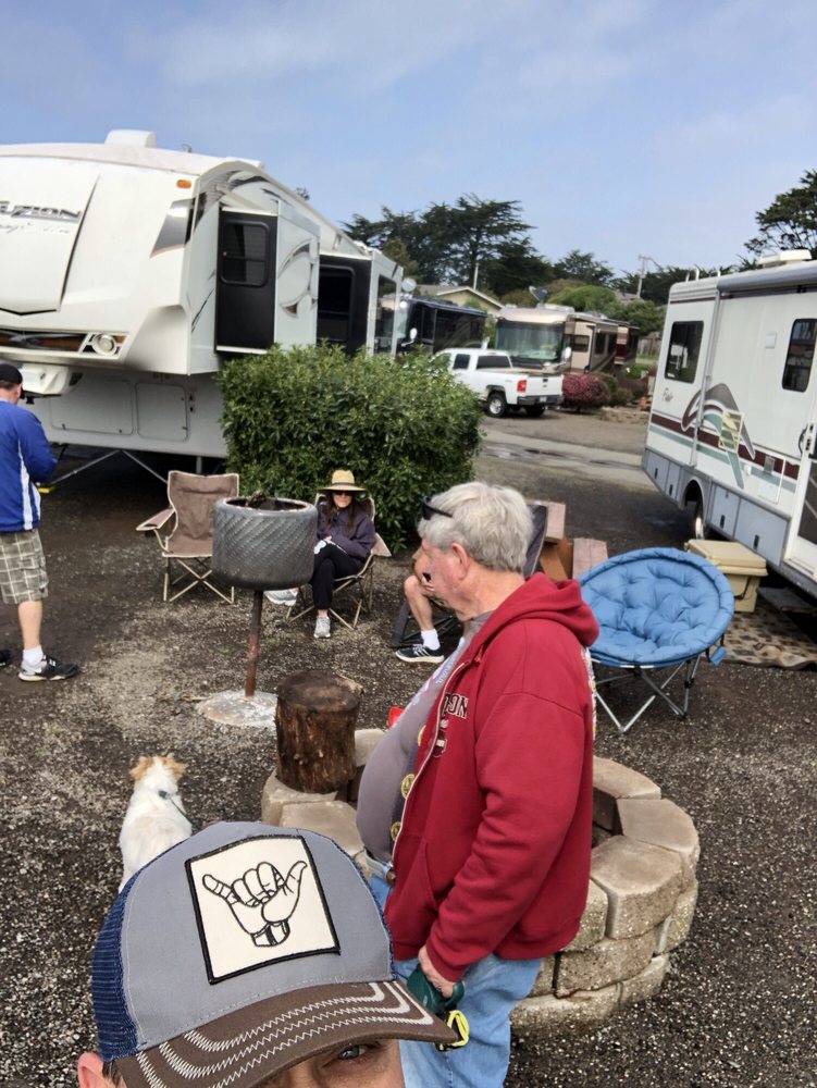 Porto Bodega Marina - 73 Photos & 55 Reviews - RV Parks - 1500 Bay Flat ...