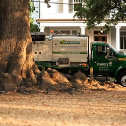 The Davey Tree Expert Company - 2019 All You Need to Know BEFORE You Go ...
