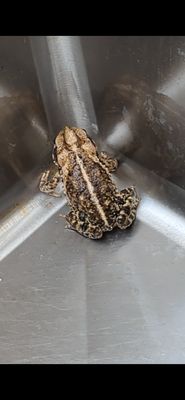 Point Blank, TX Map & Directions - MapQuest