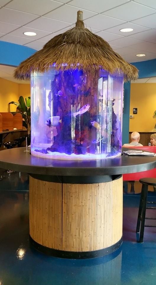 I gotta chuckle at this a little - General Boards Archive Forum - TigerNet