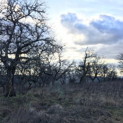 Powell Butte Nature Park - 238 Photos & 62 Reviews - Parks - 16160 SE ...