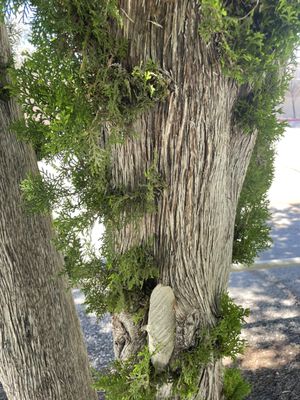 Yarnell, AZ Map & Directions - MapQuest