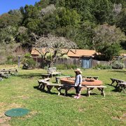 Audubon Canyon Ranch - 19 Photos - Hiking - 4900 Shoreline Hwy 1 ...