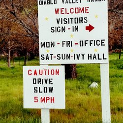 Diablo Valley Ranch - 21 Photos - Rehabilitation Center - 11540 Marsh ...