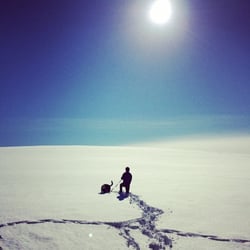 Quarry Run Dog Park - 27 Photos & 11 Reviews - Hiking - 1026 Ocean Ave ...