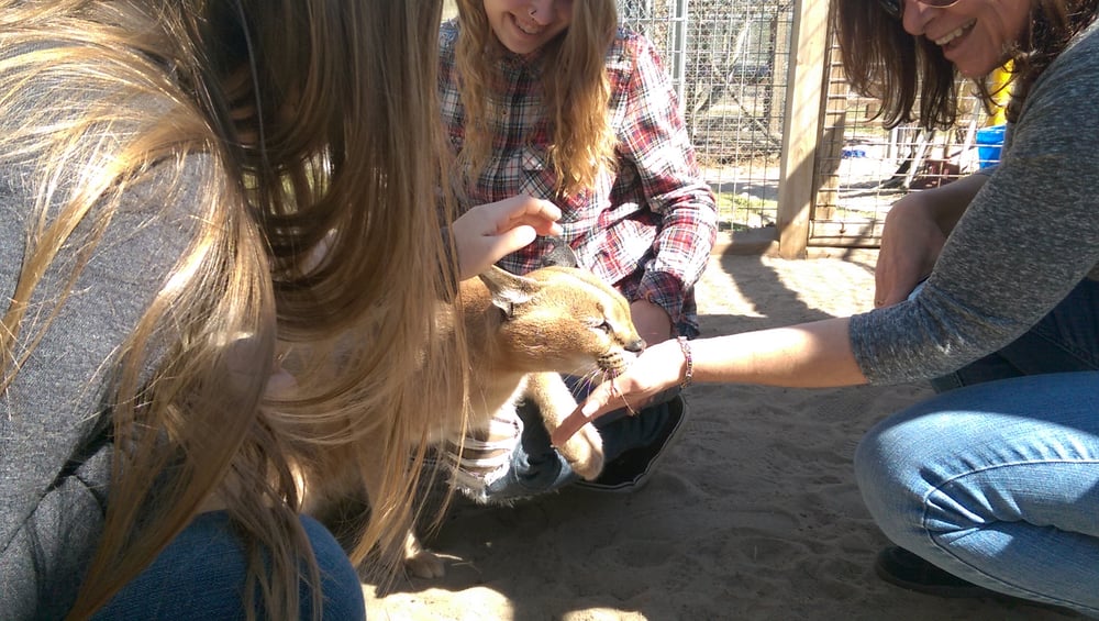 Single Vision Sanctuary - 15 Photos - Zoos - 8185 Forest Hills Rd ...