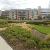 Domain Central Park - 13 Photos - Parks - 11100 Alterra Pkwy, Austin ...
