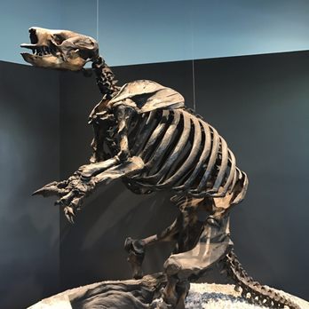 La Brea Tar Pits & Museum - 1939 Photos & 710 Reviews - Museums - 5801 ...