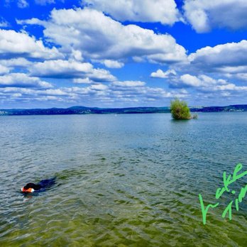 Beals Point Campground - 66 Photos & 11 Reviews - Campgrounds - 7806 ...