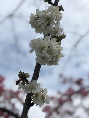 Wallington, NJ Map & Directions - MapQuest