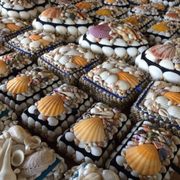 The Shell Shop - 72 Photos & 79 Reviews - Arts & Crafts - 590 ...