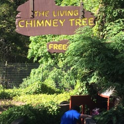 The Chimney Tree Grill - 11 Photos & 39 Reviews - Burgers - 1111 Ave of ...