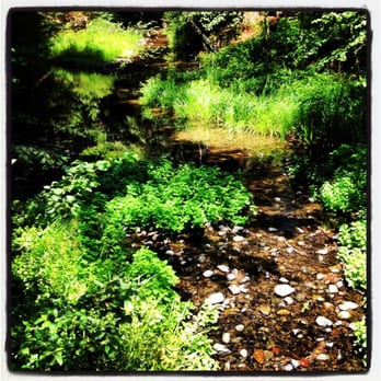 YMCA Camp Campbell - 78 Photos & 34 Reviews - Summer Camps - 16275 Hwy ...