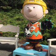 Snoopy’s Home Ice - Redwood Empire Ice Arena - 47 Photos & 68 Reviews ...