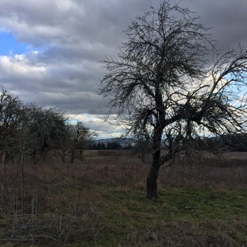 Powell Butte Nature Park - 238 Photos & 62 Reviews - Parks - 16160 SE ...