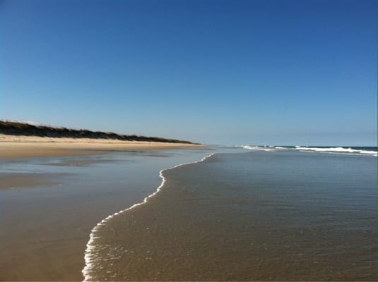 False Cape State Park - Parks - Virginia Beach, VA - Reviews - Photos ...