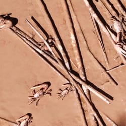 Tyler’s Beach - 16 Photos - Beaches - 15074 Tyler's Beach Rd ...