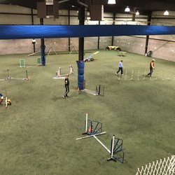 Pawsitive Partners Dog Training Center - Pet Training - 5750 Elmwood ...