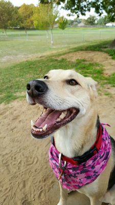 Hilmar, CA Map & Directions - MapQuest