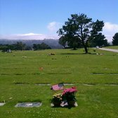 Holy Cross Catholic Cemetery - 94 Photos & 44 Reviews - Funeral ...