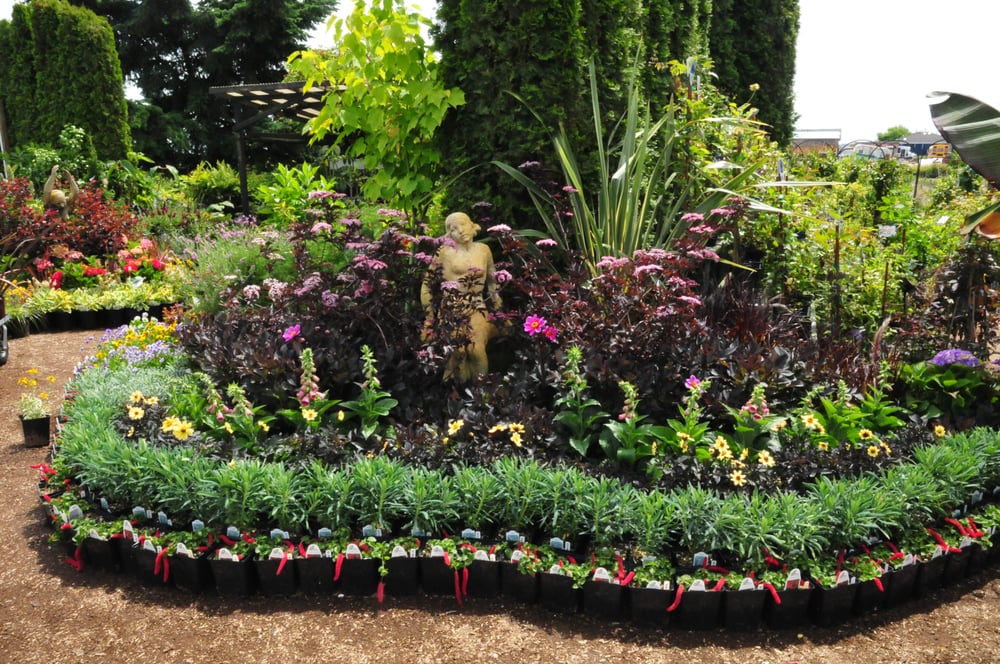 Phoenix Perennials - 14 Photos - Nurseries & Gardening - 3380 No 6 Road ...