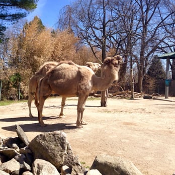 Roger Williams Park Zoo - 463 Photos & 162 Reviews - Zoos - 1000 ...