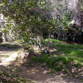 UCR Botanic Gardens - 462 Photos & 81 Reviews - Botanical Gardens - 1 ...