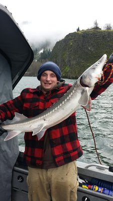 Bingen, WA Map & Directions - MapQuest