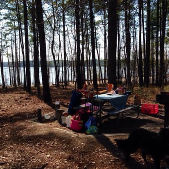 Falls Lake State Recreation Area - 113 Photos & 23 Reviews - Parks ...