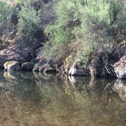 Coon Bluff - Campgrounds - Coon Bluff Rd, Mesa, AZ - Phone Number - Yelp