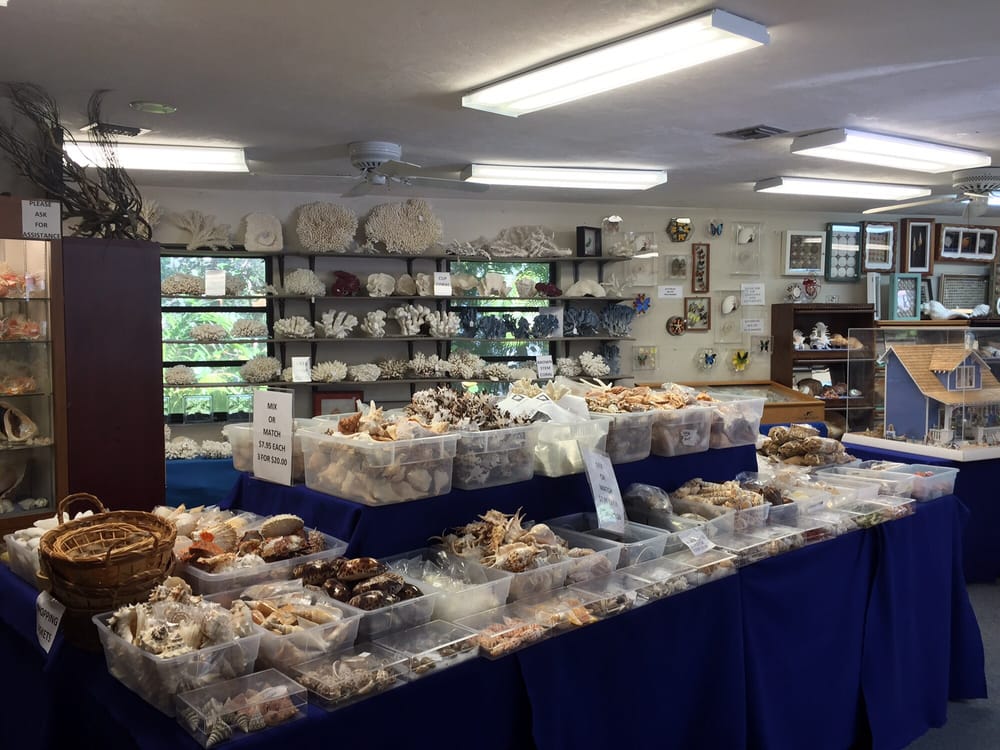 Sanibel Seashell Industries - Art Supplies - 905 Fitzhugh St, Sanibel ...