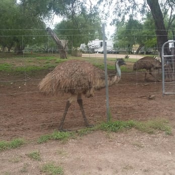 Mustang Hollow Campground - 2019 All You Need to Know BEFORE You Go ...