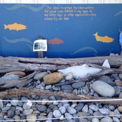 Nimbus Fish Hatchery - 176 Photos & 71 Reviews - Aquariums - 2001 ...