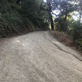 Berkeley Fire Trails - 235 Photos & 99 Reviews - Parks - Centennial Dr ...