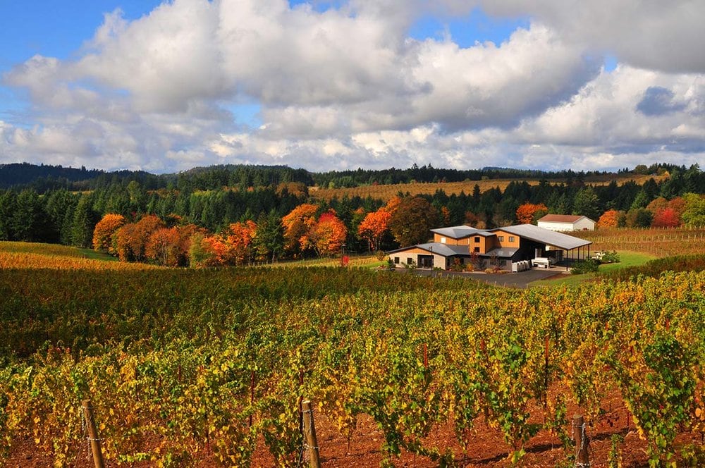 Trisaetum Winery - 85 Photos & 30 Reviews - Wineries - 18401 NE Ribbon ...