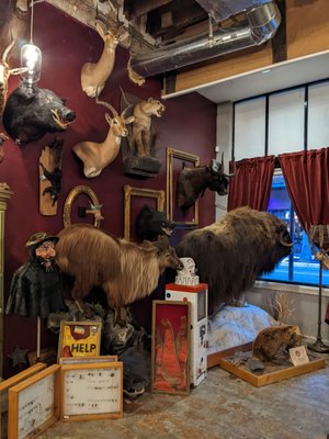 Ybor City, FL Map & Directions - MapQuest