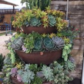 Isaac Farms - 131 Photos & 15 Reviews - Nurseries & Gardening - 18800 ...
