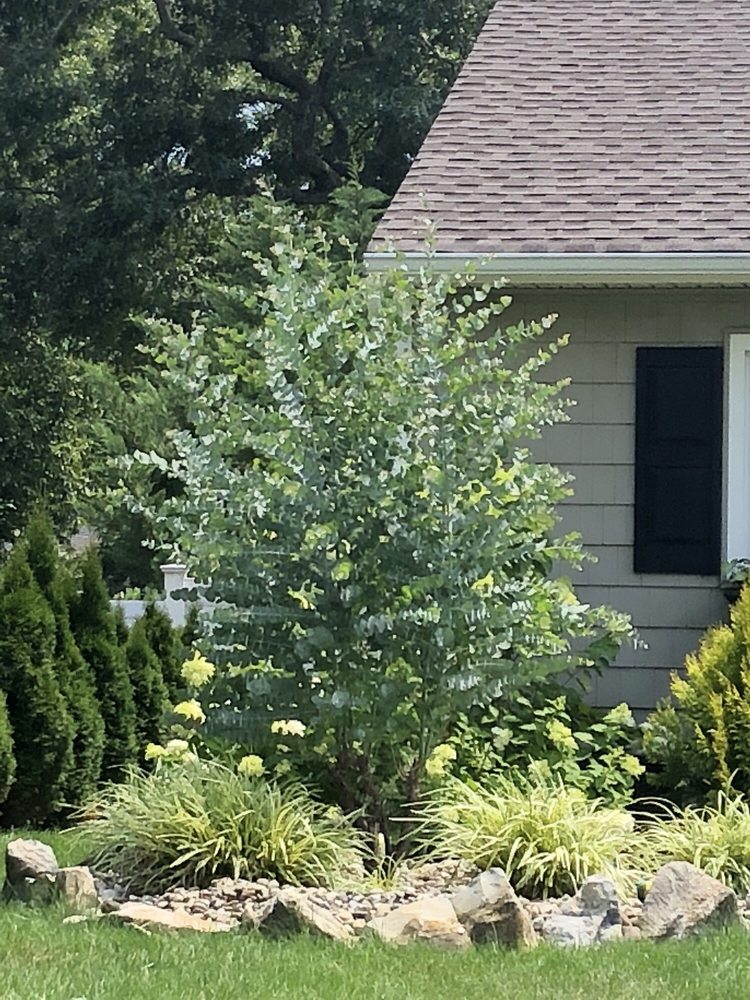 Holly Brook Farms & Garden Center - Nurseries & Gardening - 2023 State ...