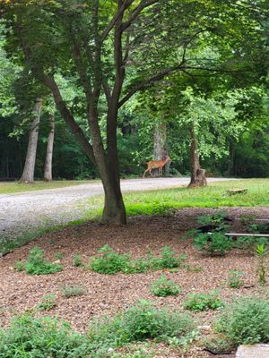 Auburn, KY Map & Directions - MapQuest