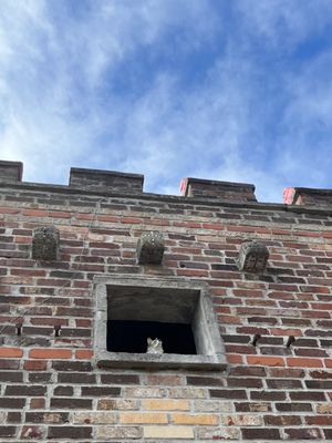 Greenback, TN Map & Directions - MapQuest