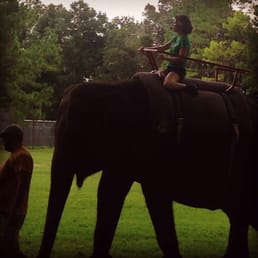 Two Tails Ranch - 31 Photos & 16 Reviews - Zoos - 18655 NE 81st St ...