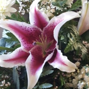 Valencia Florist - 245 Photos & 24 Reviews - Florists - 955 Stonypoint ...