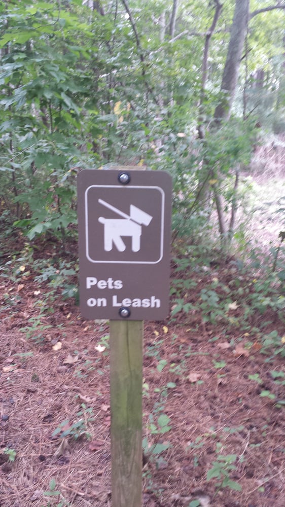 Little Ridge Park - Parks - 3285-3299 Lanier Beach South Rd, Cumming ...