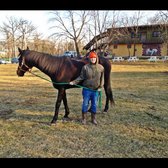 Memory Lane Stables - 101 Photos & 39 Reviews - Horseback Riding - 8290 ...